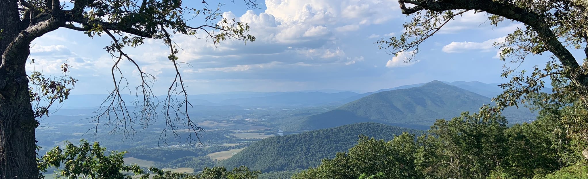 Appalachian Trail: Black Horse Gap to Bearwallow Gap: 217 foto's ...