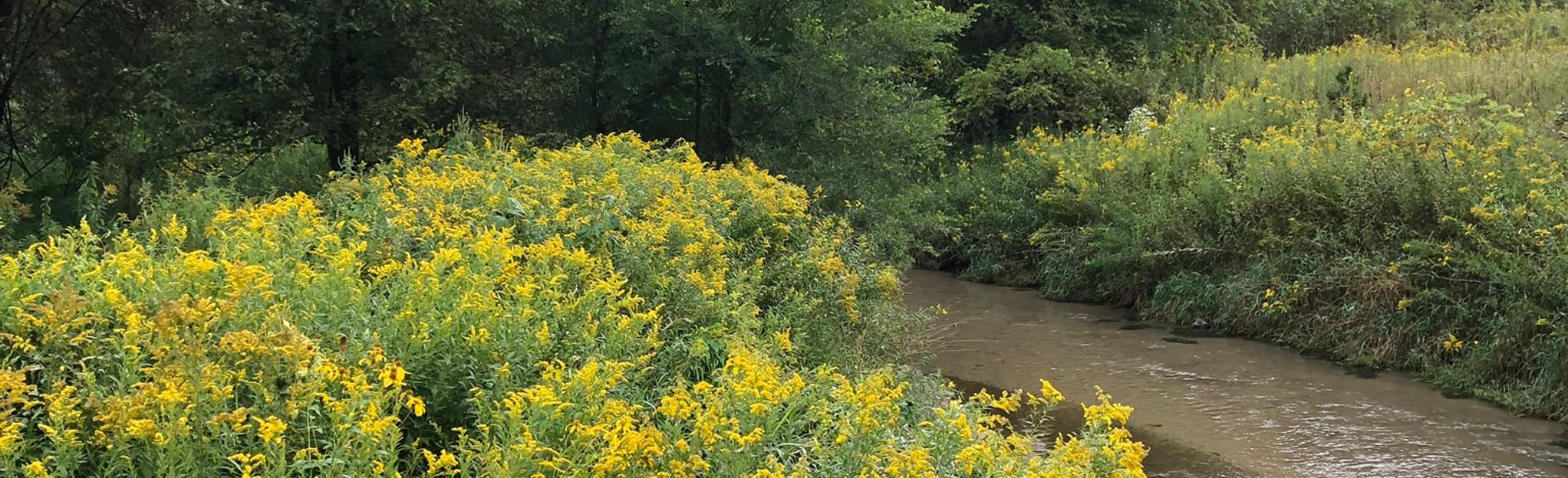 Miesville Trail, Minnesota - 128 Reviews, Map | AllTrails