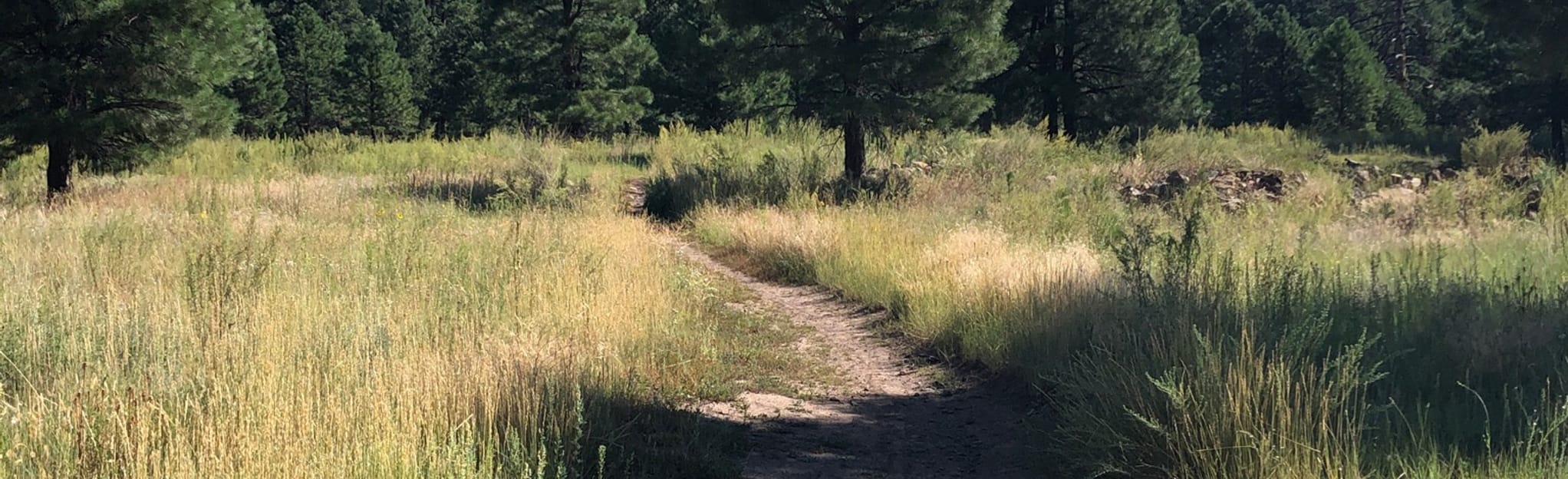 Rocky Ridge Loop, Arizona - 264 Reviews, Map | AllTrails