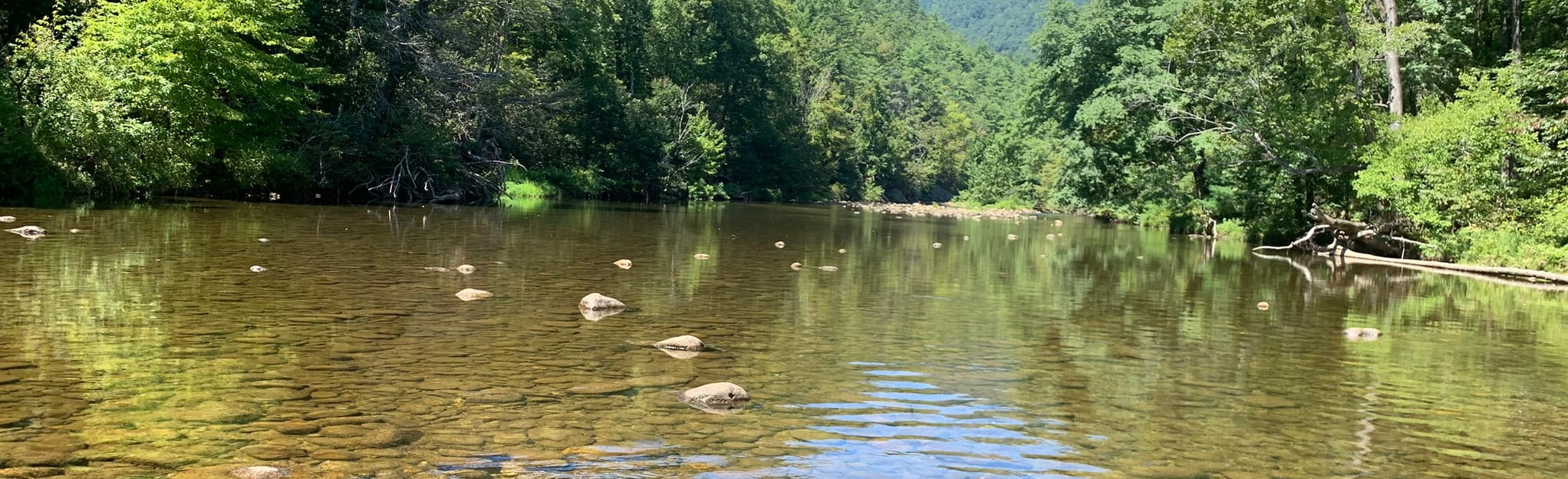 Linville Gorge Loop, North Carolina - 36 Reviews, Map | AllTrails