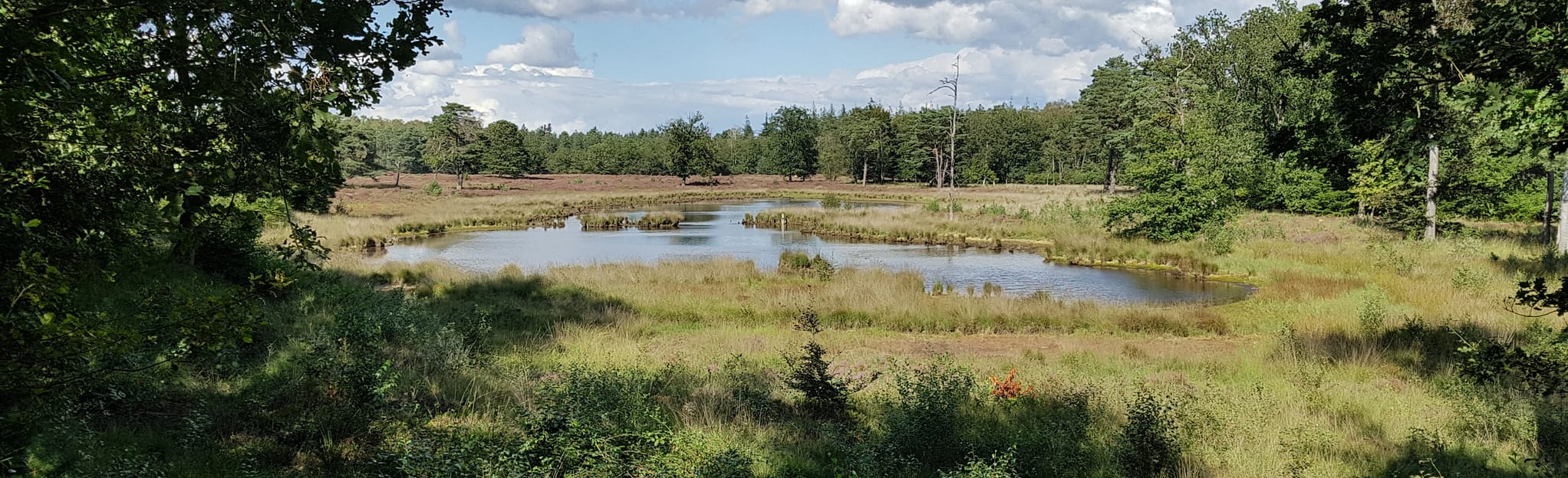 Wandeling Heetveld en Den Treek: 59 foto's - Utrecht, Nederland ...