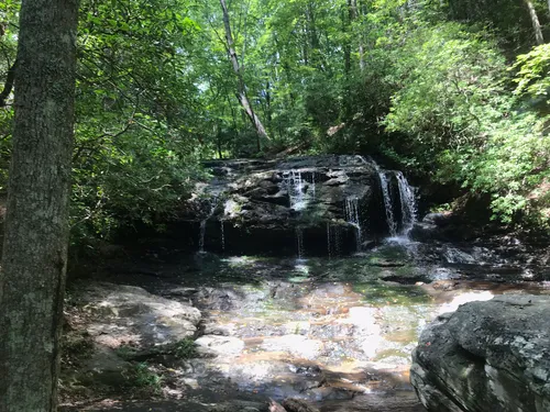 10 Best Trails and Hikes in Marble Hill | AllTrails