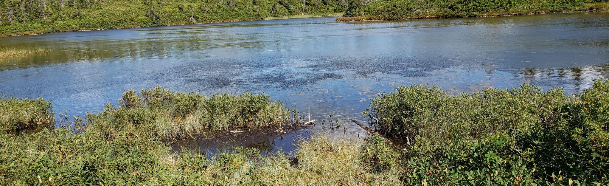 Humber Valley Trail: 20 Reviews, Map - Newfoundland and Labrador ...