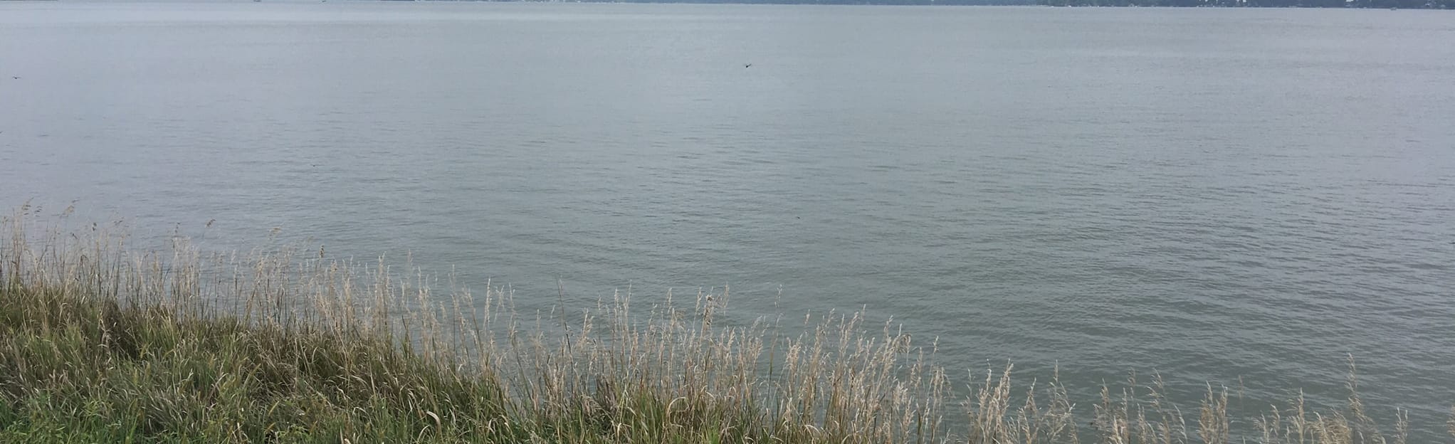 Johnson Lake Hike and Bike Trail, Nebraska - 46 Reviews, Map | AllTrails