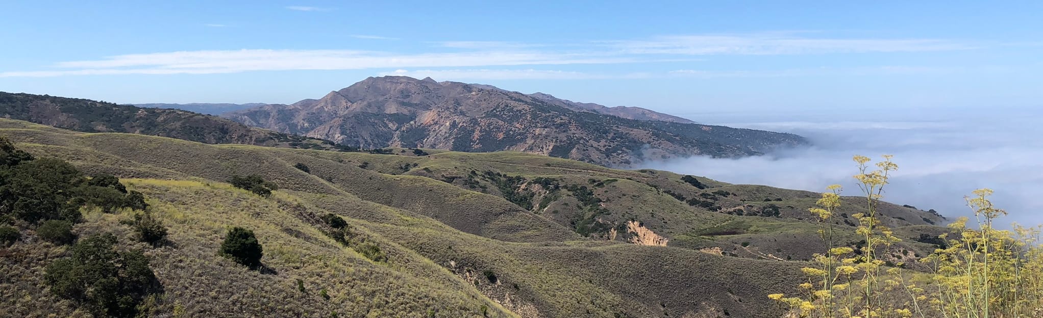 Del Norte Trail and Navy Road Loop - California | AllTrails