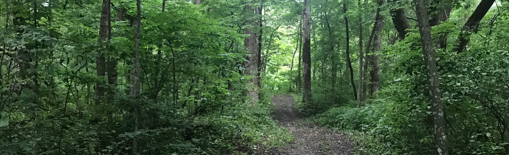 AllTrails | Hidden Pond, Oak Tree, and Sumac Trail: 161 Reviews, Map ...