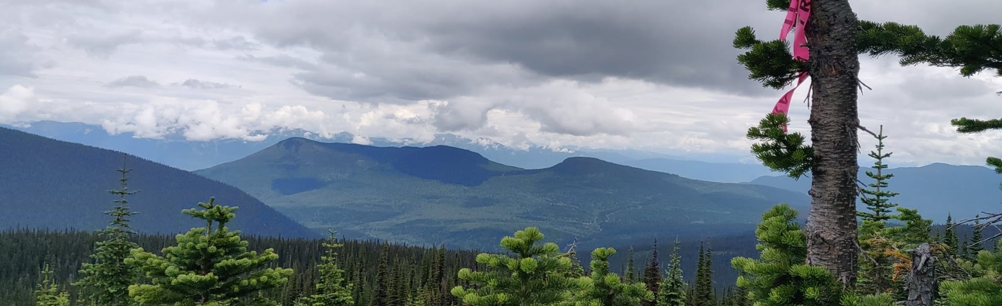 Leprechaun Trail, British Columbia, Canada - 5 Reviews, Map | AllTrails