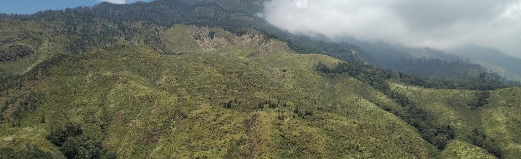 Mount Pundak: 14 Reviews, Map - East Java, Indonesia | AllTrails