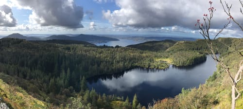 2023 Best 10 Trails and Hikes in Bergen | AllTrails