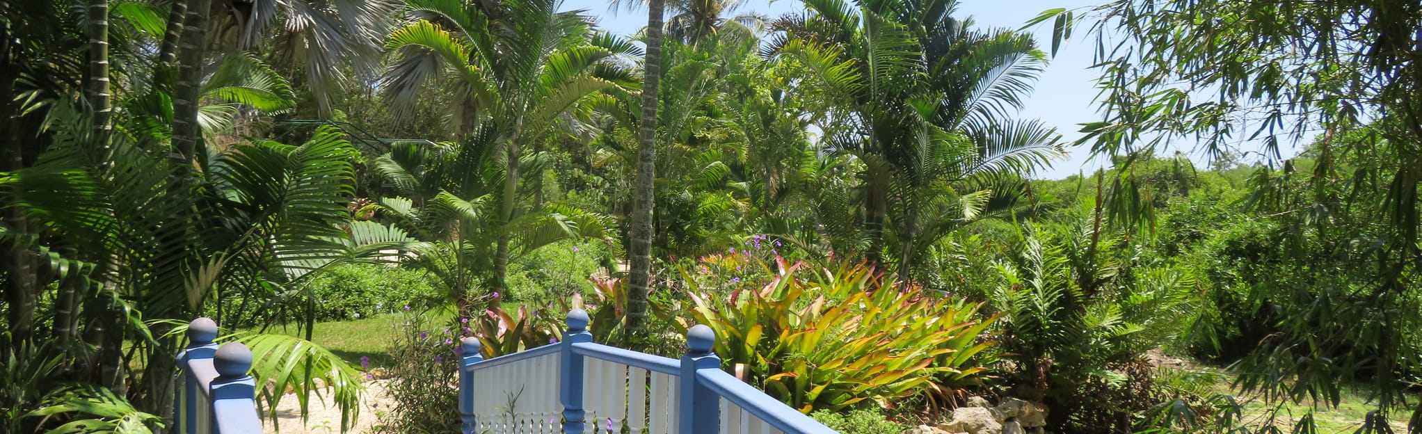 Queen Elizabeth II Botanic Park - Cayman Islands, Cayman Islands ...