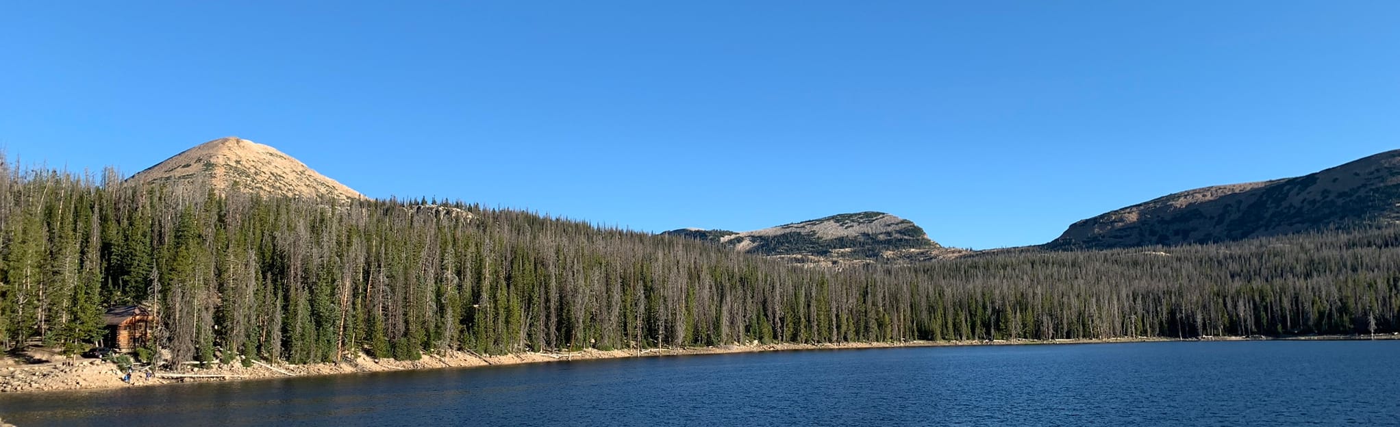 Trial Lake Trail: 122 Reviews, Map - Utah | AllTrails