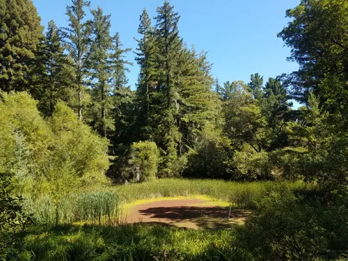 10 Best Trails and Hikes in Portola Valley | AllTrails