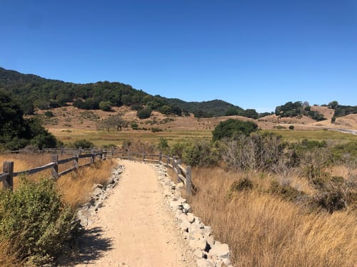 Best 10 Hikes and Trails in China Camp State Park | AllTrails