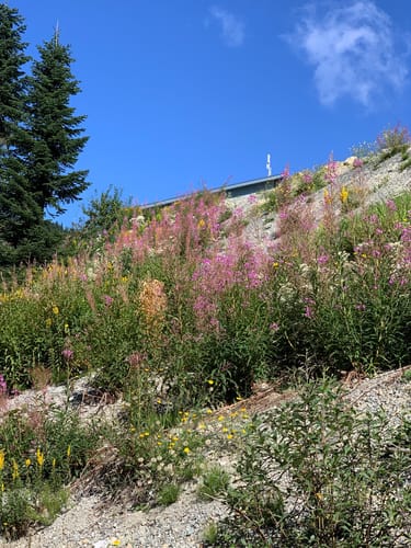 Best Hikes and Trails in Hemlock Valley | AllTrails