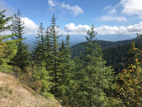 Best 10 Hikes and Trails in Tiger Mountain State Forest | AllTrails