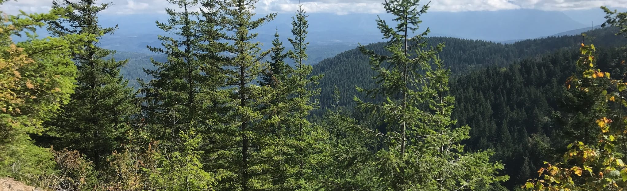 West Tiger # 3 via Cable Line Trail Loop: 1234 Reviews, Map ...