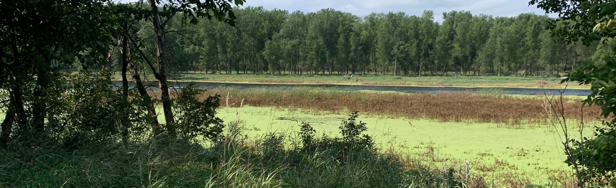 Adams Nature Preserve Loop, South Dakota - 89 Reviews, Map | AllTrails