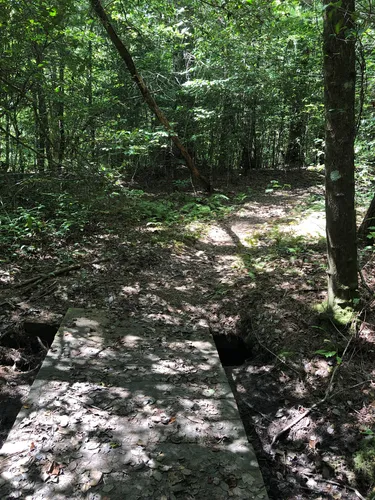 Best Hikes and Trails in Hanging Dog Recreation Area | AllTrails