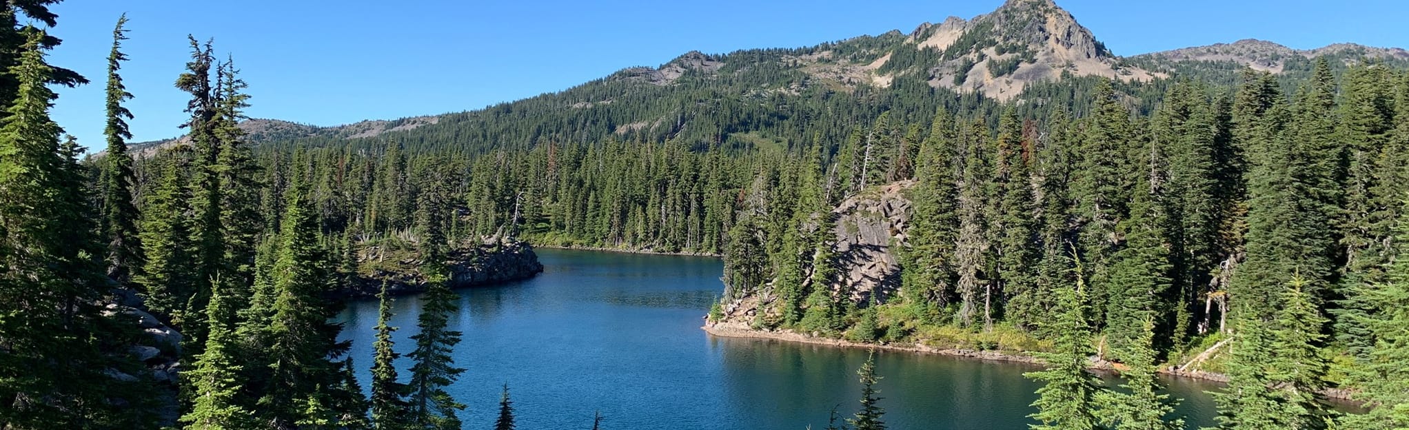 Scout Lake and Bays Lake via Pamelia Lake Trail and PCT - Oregon ...