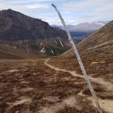 Skookum Volcano Trail, Alaska - 68 Reviews, Map | AllTrails