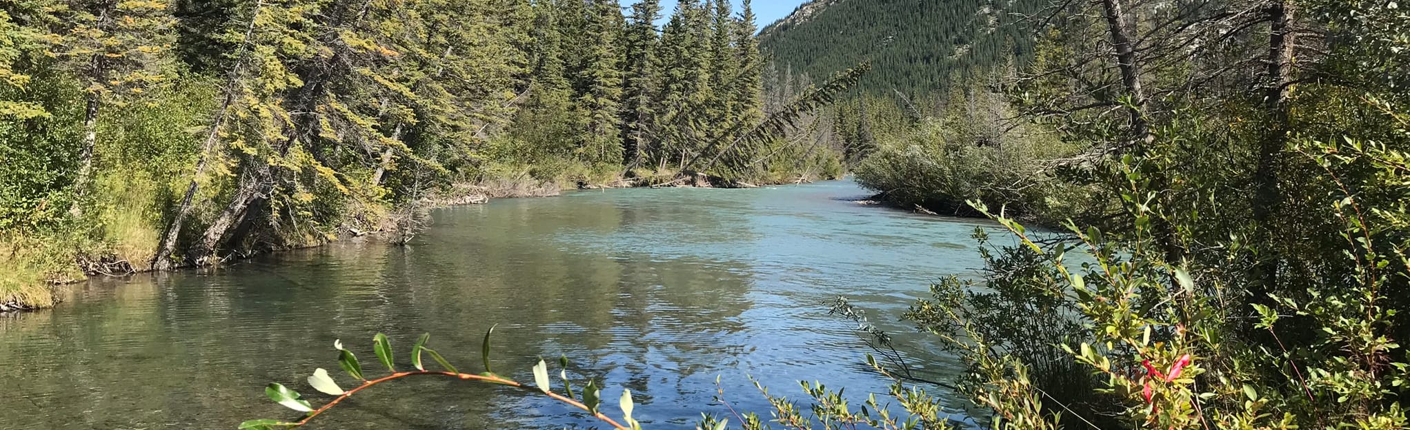 Mount Exshaw South Trail, Alberta, Canada - 29 Reviews, Map | AllTrails