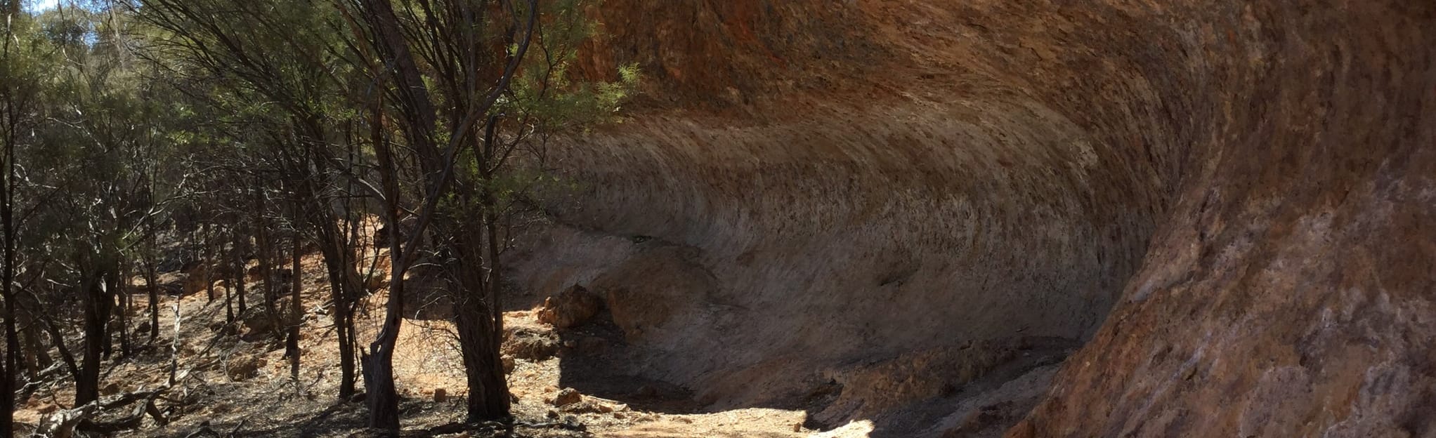 Wave Rock Walking Track: 4 Reviews, Map - Queensland, Australia | AllTrails