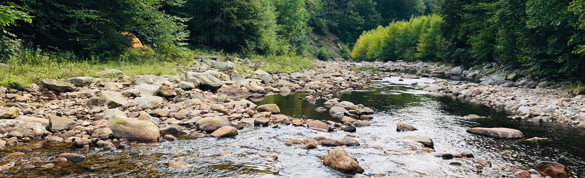 Red Creek Trail to Lion's Head Rocks - West Virginia | AllTrails