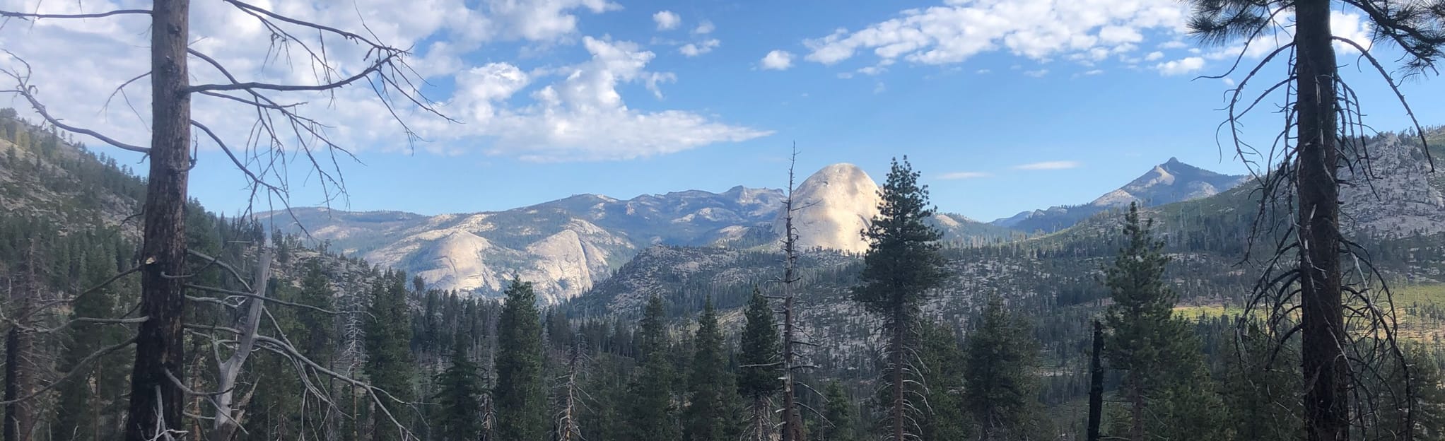 Mono Meadow Trail, California - 68 Reviews, Map | AllTrails