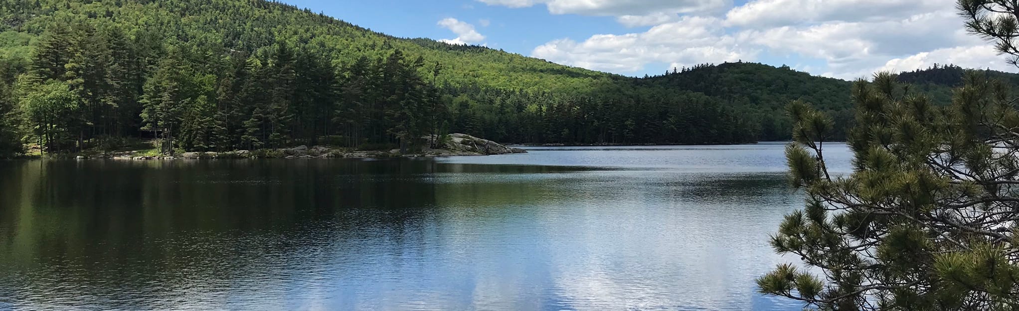 Pharoah Lake via Grizzle Ocean Trail | Map, Guide - New York | AllTrails