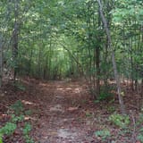 Chaptico Park Nature Trail, Maryland - 69 Reviews, Map | AllTrails
