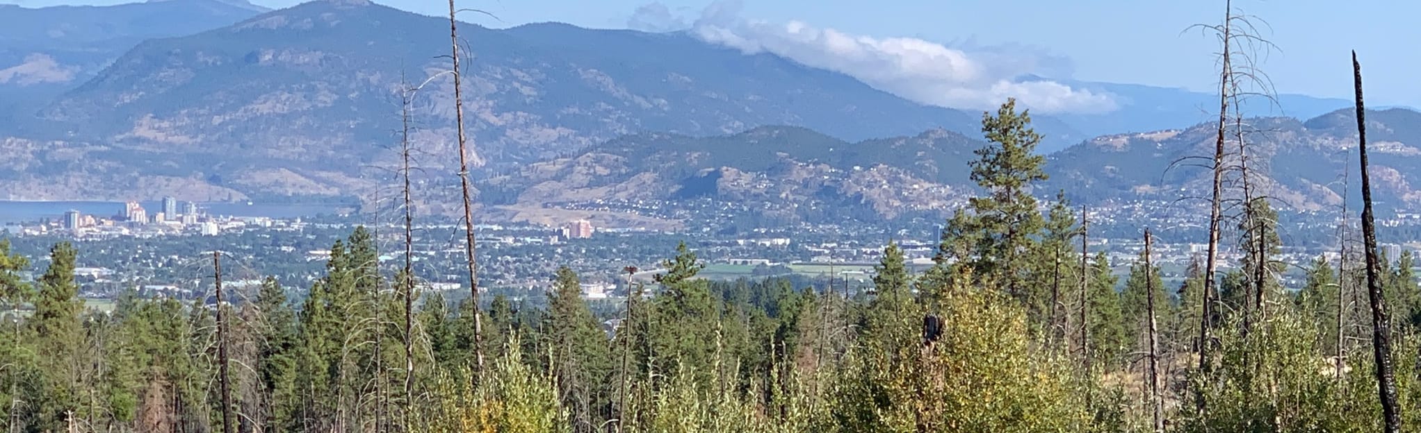 Crawford Loop, British Columbia, Canada - 48 Reviews, Map | AllTrails