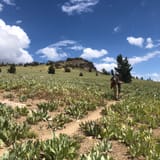 Brockway Summit to Mount Baldy Loop, California - 176 Reviews, Map ...