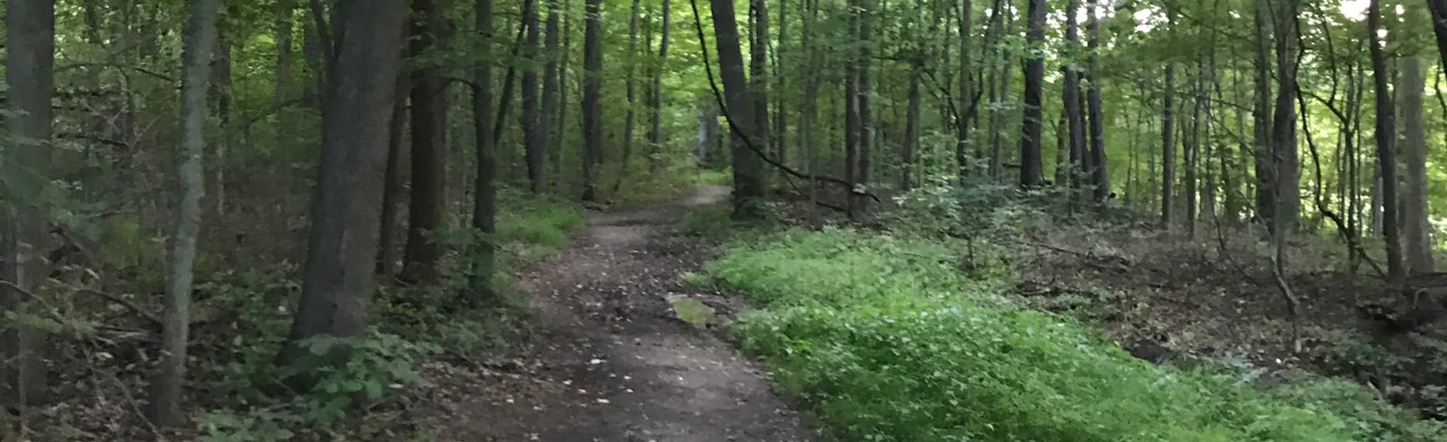 Lydick Bog Trail, Indiana - 133 Reviews, Map | AllTrails