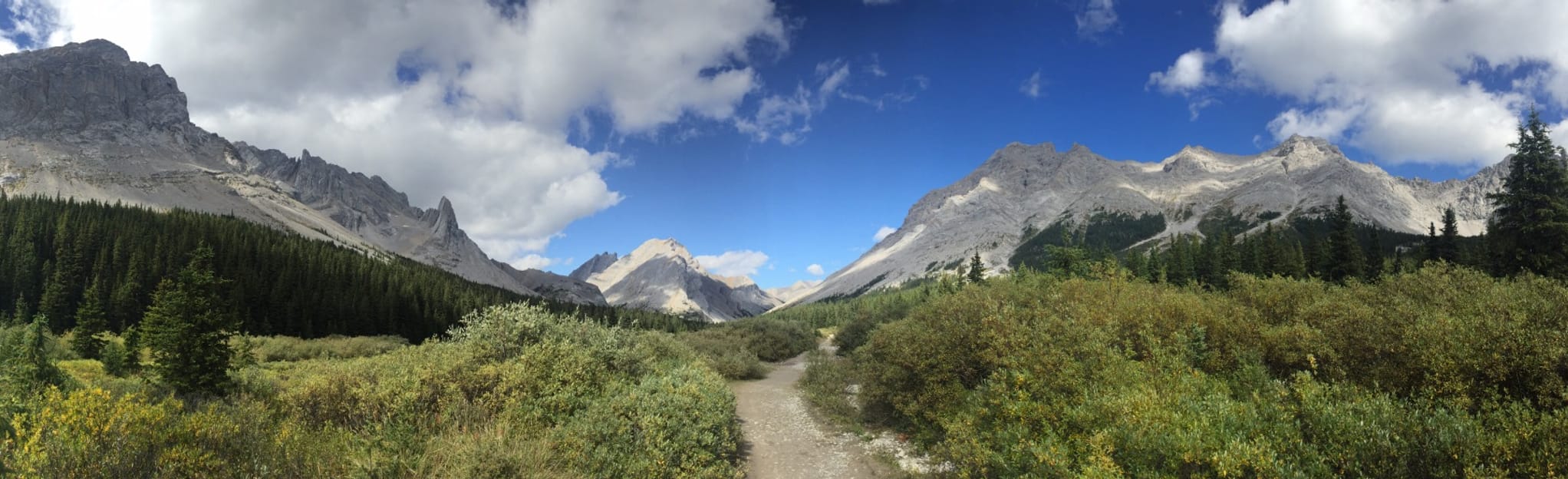 Piper Pass via Elbow Pass Trail: 106 Reviews, Map - Alberta, Canada ...