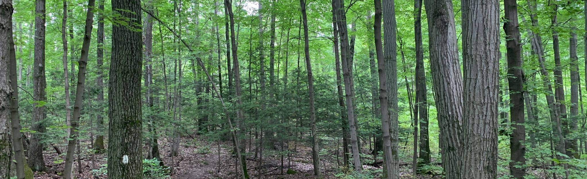 MA NET: Section 3, Massachusetts - 105 Reviews, Map | AllTrails