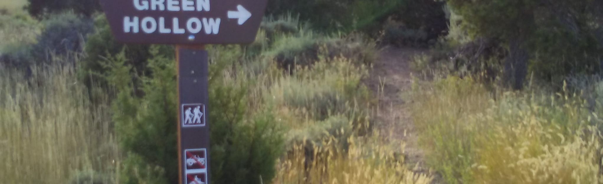 Green Hollow Trail: 77 Reviews, Map - Utah | AllTrails