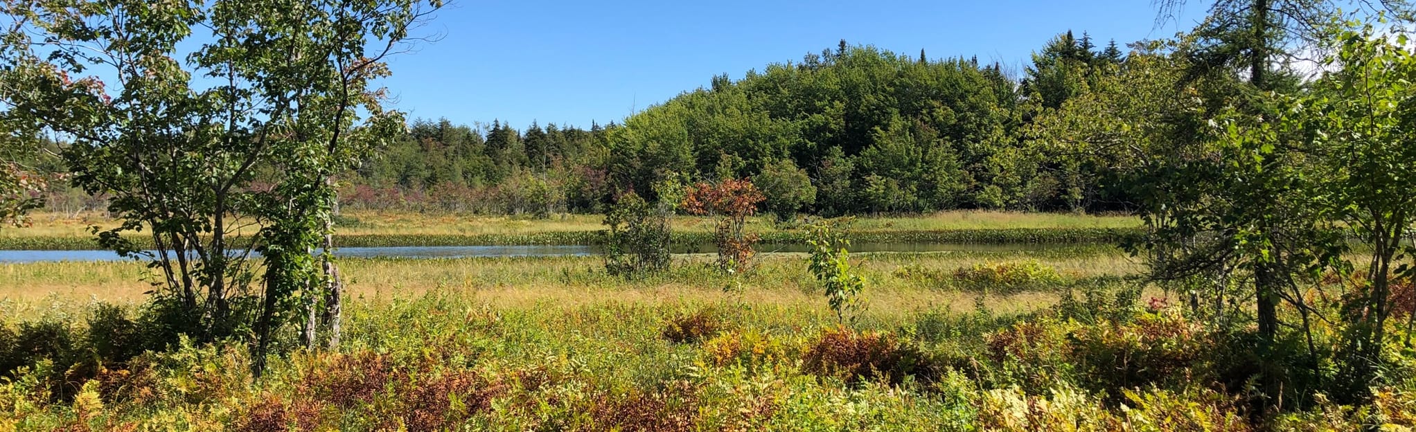 Sacandaga River Pathway, New York - 65 Reviews, Map | AllTrails