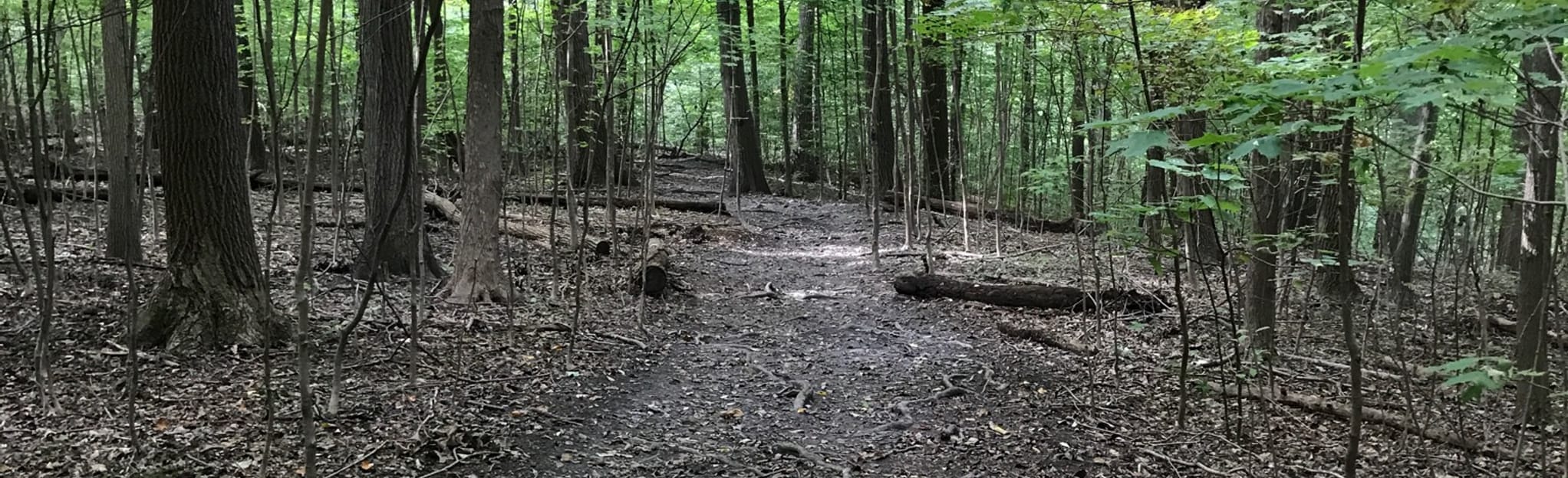 Creek Trail, Lower Trail and Monocacy Hill Trail: 381 Reviews, Map ...