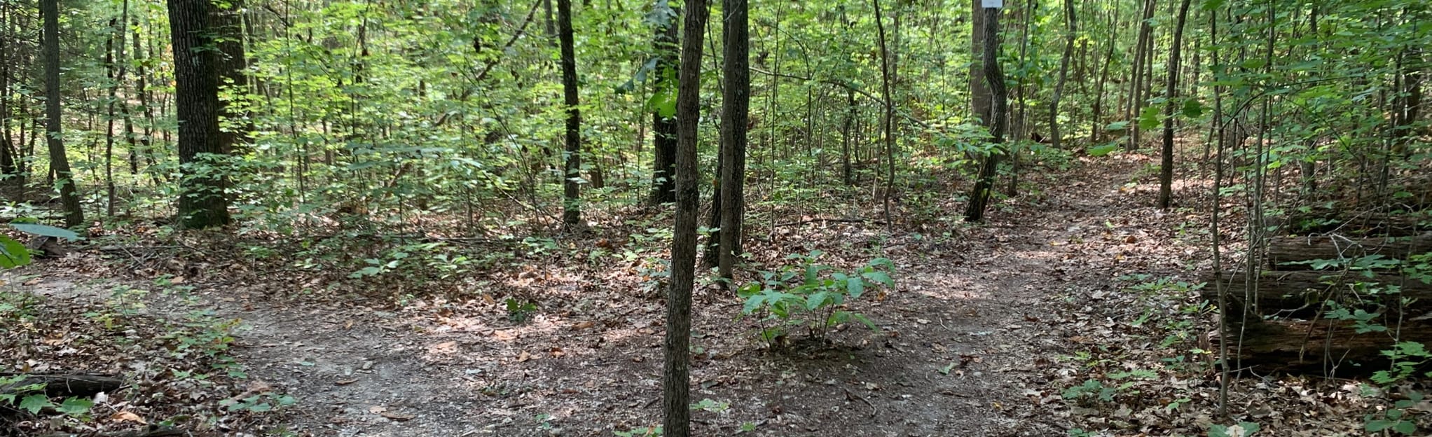 Boulder Trail: 94 Reviews, Map - Tennessee | AllTrails