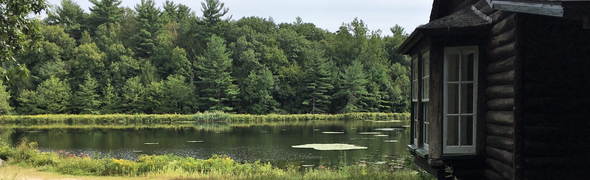 McLean Blue and Yellow Blaze Trail Loop, Connecticut - 470 Reviews, Map ...