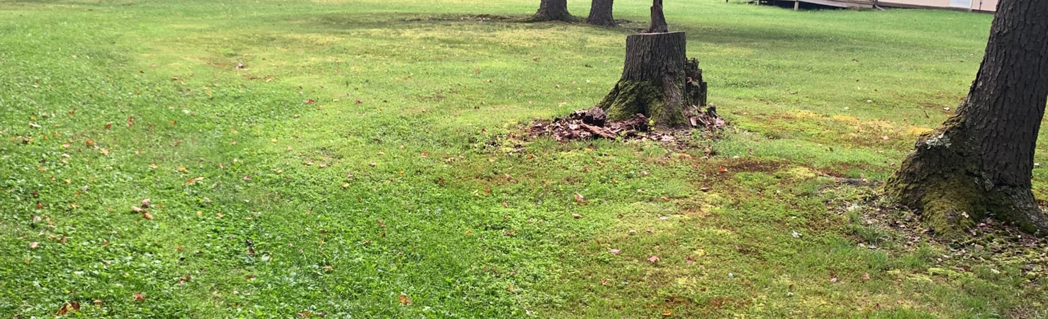 Quehanna Trail: 136 Reviews, Map - Pennsylvania | AllTrails