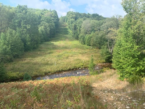 Best 10 Hikes and Trails in Moshannon State Forest | AllTrails