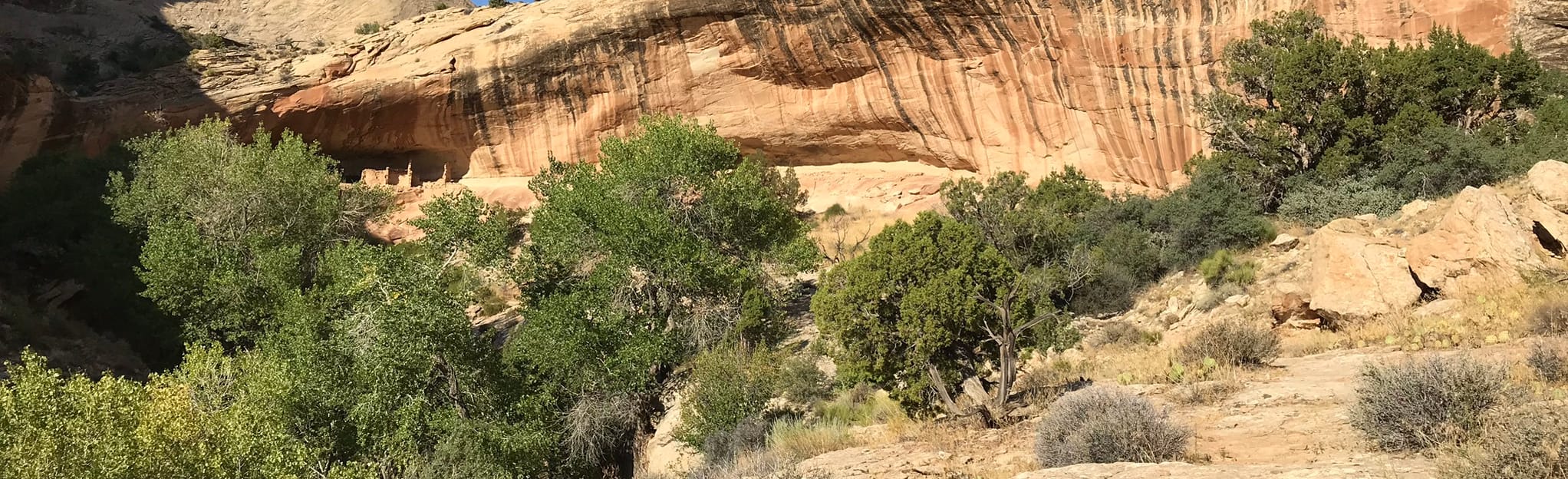 Monarch Cave via Comb Ridge , Utah - 199 Reviews, Map | AllTrails