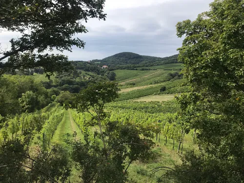 10 Best Trails and Hikes in Vienna | AllTrails