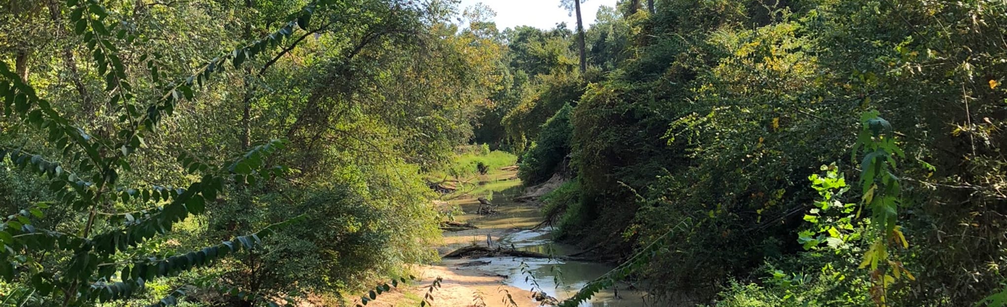Burroughs Park Full Loop: 149 Reviews, Map - Texas | AllTrails