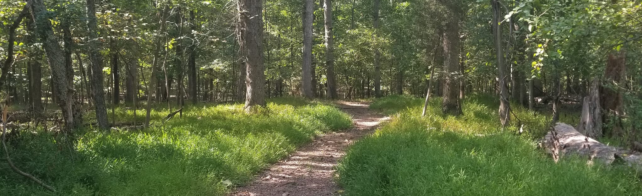 Chinn Ridge and Second Manassas Loop, Virginia - 638 Reviews, Map ...