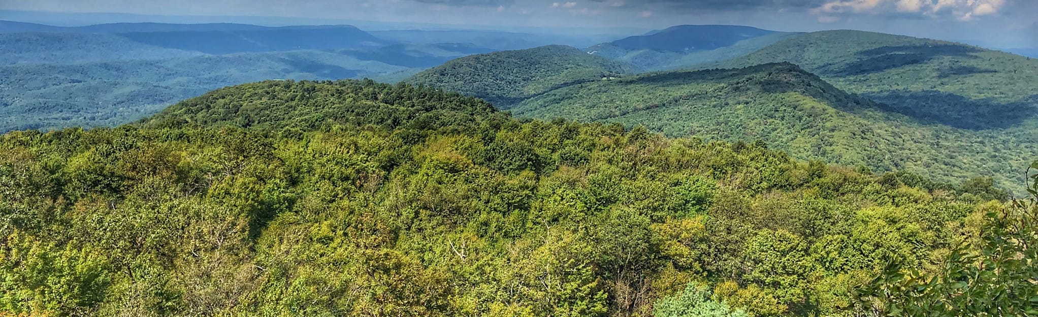The Throne Room, Standing Stone Trail: 90 Reviews, Map - Pennsylvania ...