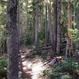 Yoran Lake Trail, Oregon - 72 Reviews, Map | AllTrails