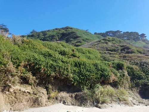 Best Hikes and Trails in Seven Devils State Recreation Site | AllTrails