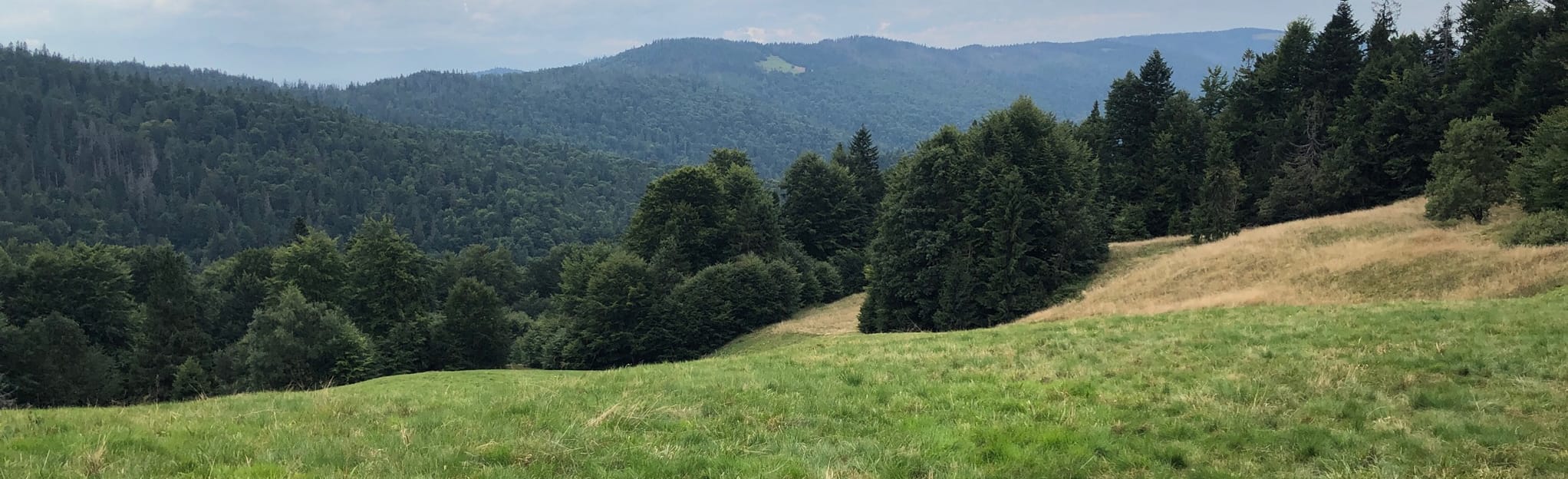 Rzeki - Gorc Kamienicki - Gorc, Lesser Poland, Poland - 7 Reviews, Map ...